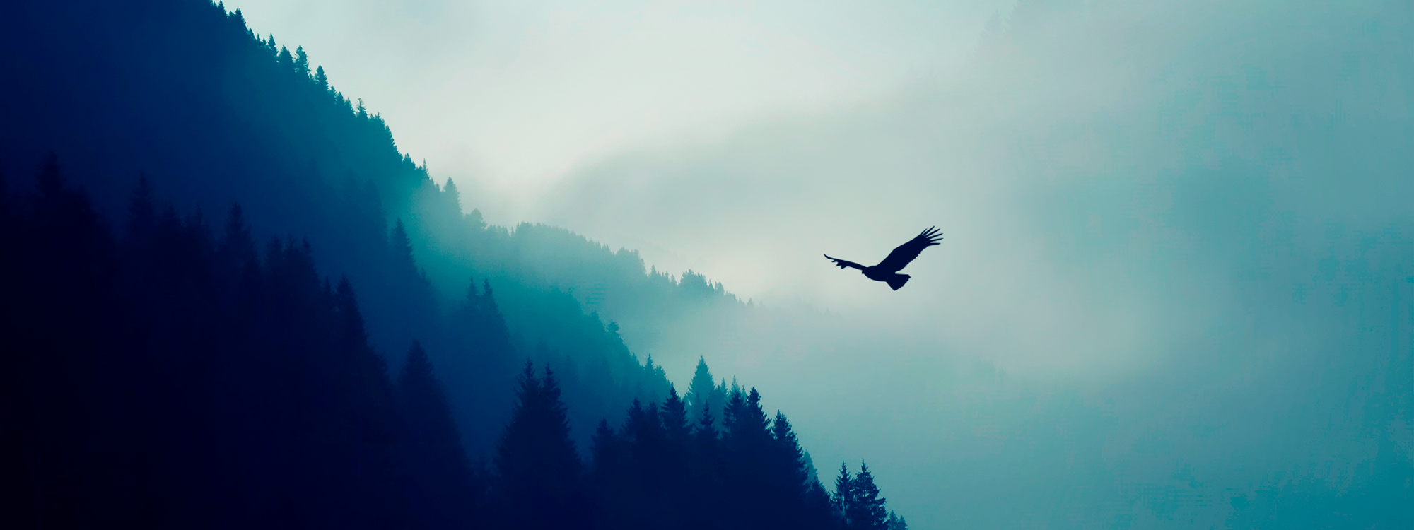 FALCON ELECTRONICA – Electronic Manufacturing Services Company